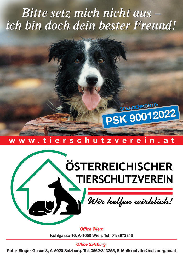 Plakataktion gegen Aussetzen von Hunden in der Ferienzeit - BILD