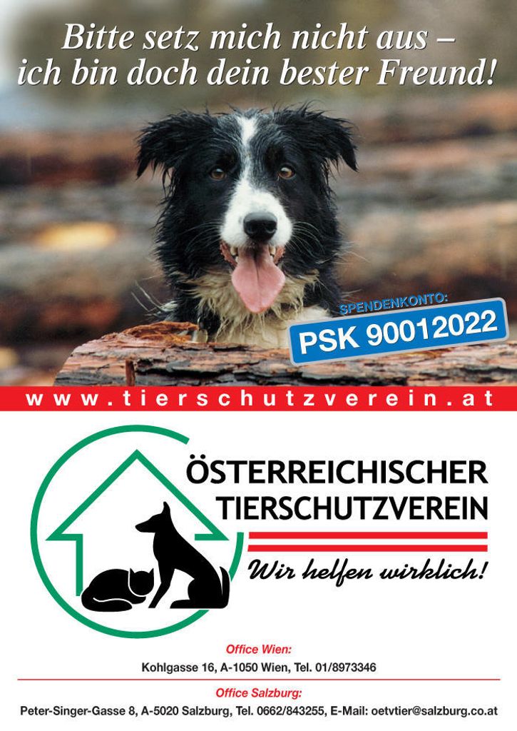 Plakataktion gegen Aussetzen von Hunden in der Ferienzeit - BILD