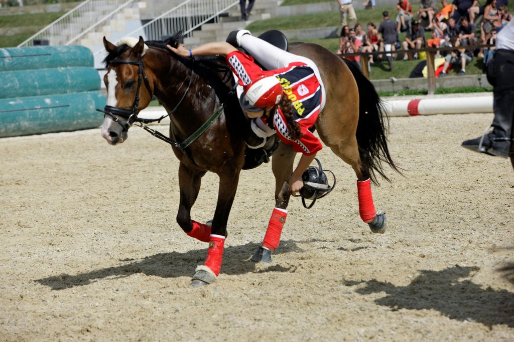 1. Horse-Ball-Turnier in Oberösterreich!