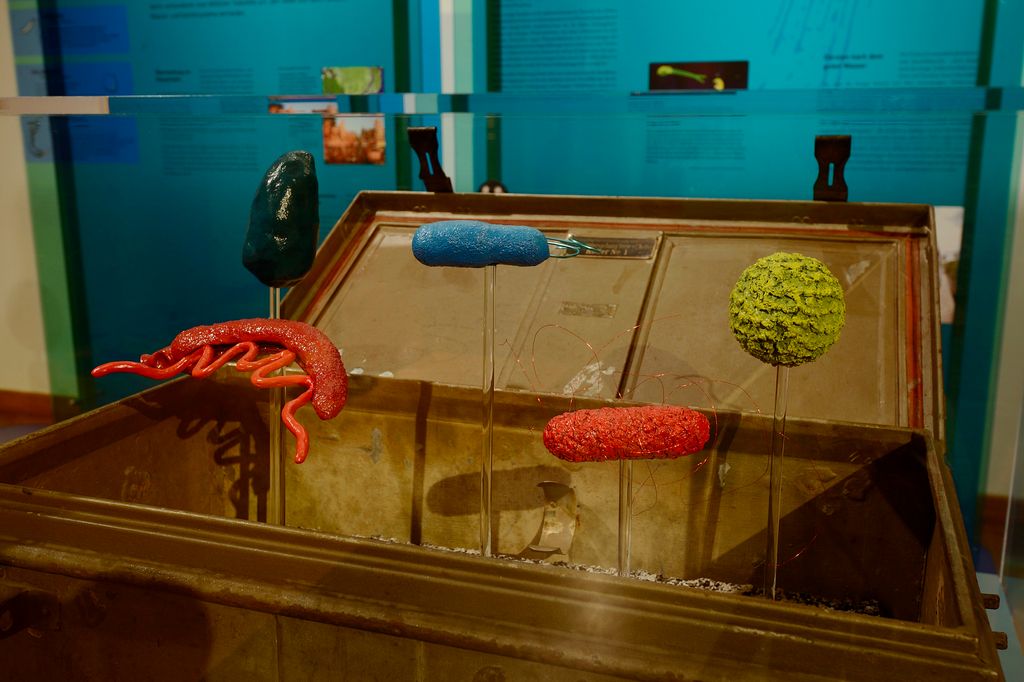 PK zur Ausstellung "MenschMikrobe" im Naturhistorischen Museum Wien