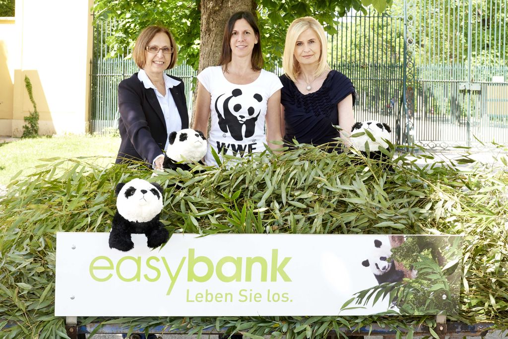 Drei starke Partner für den Panda!