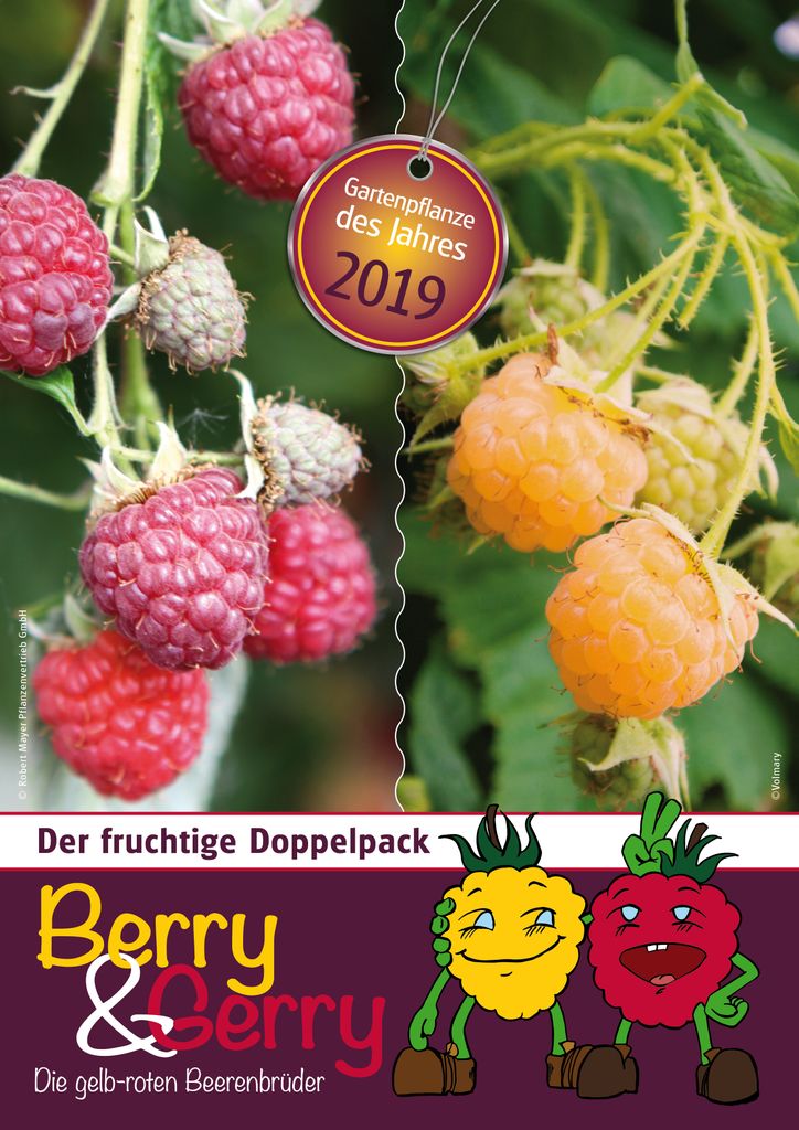 Berry & Gerry – der fruchtige Doppelpack