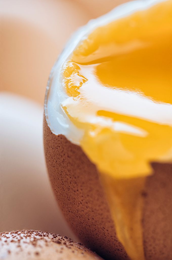 Revolution der Nahrungsmittelintoleranz-Diagnostik: MADx und Test4 ...