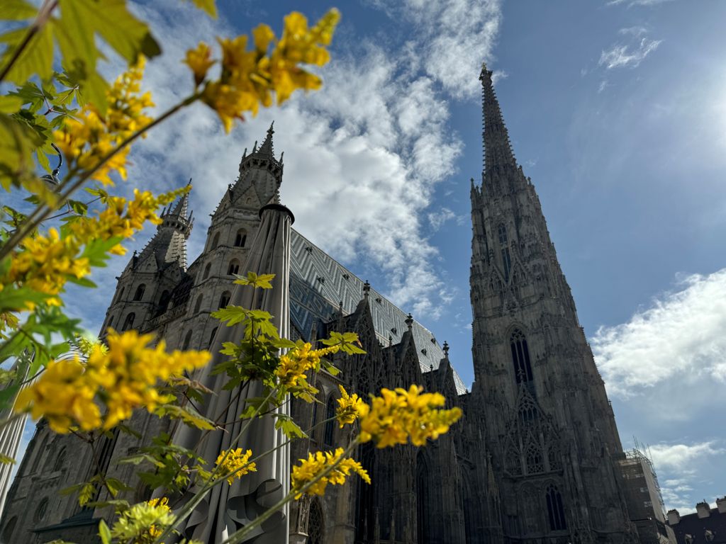 Virtuelle Entdeckungsreise durch den Stephansdom
