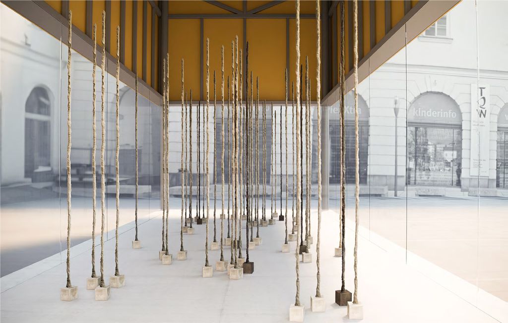 Socia Goscinskis „Desert Plants“ in der MQ Art Box